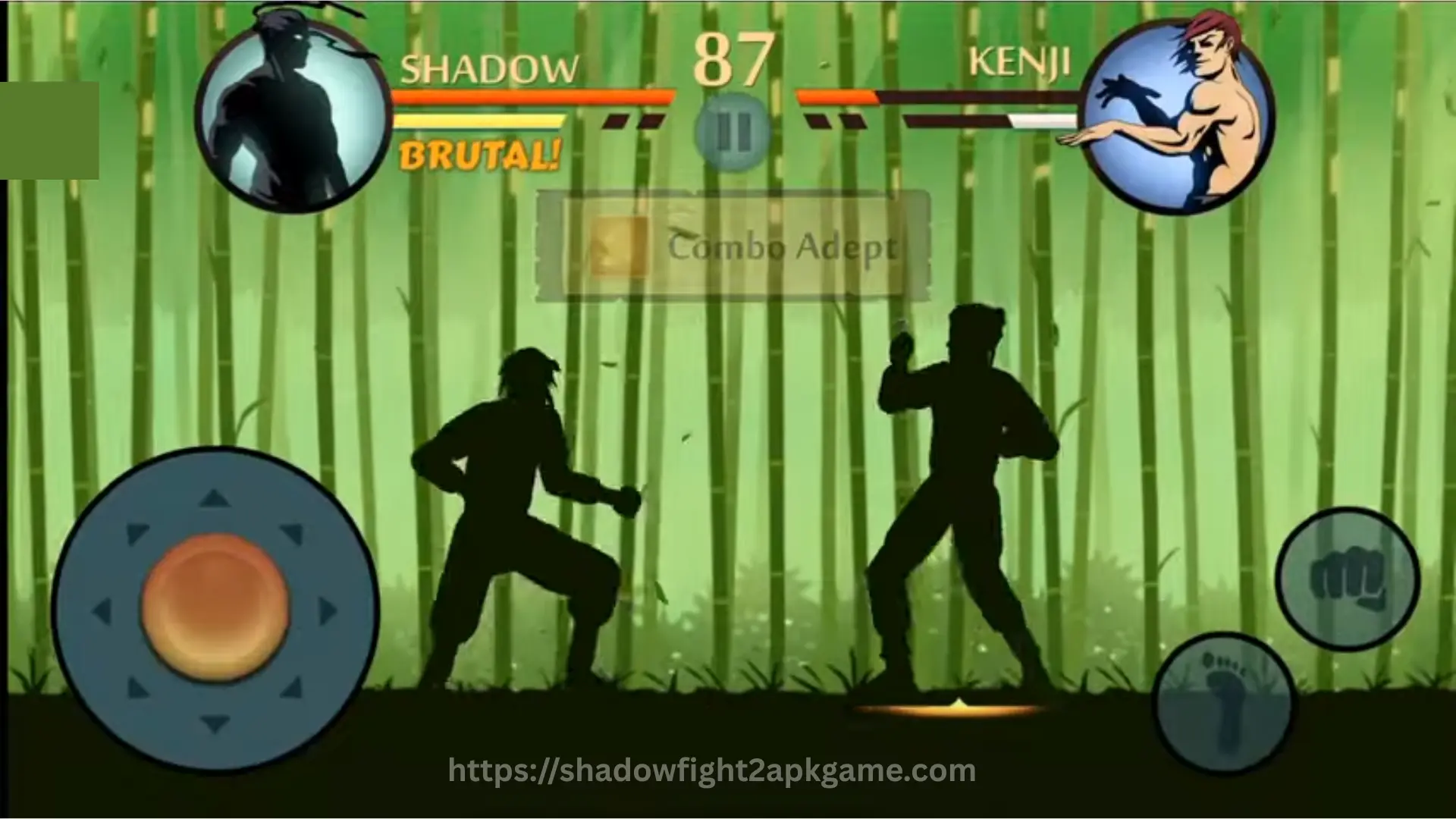 Shadow Fight 2 Special Edition MOD APK Unlimited Everything